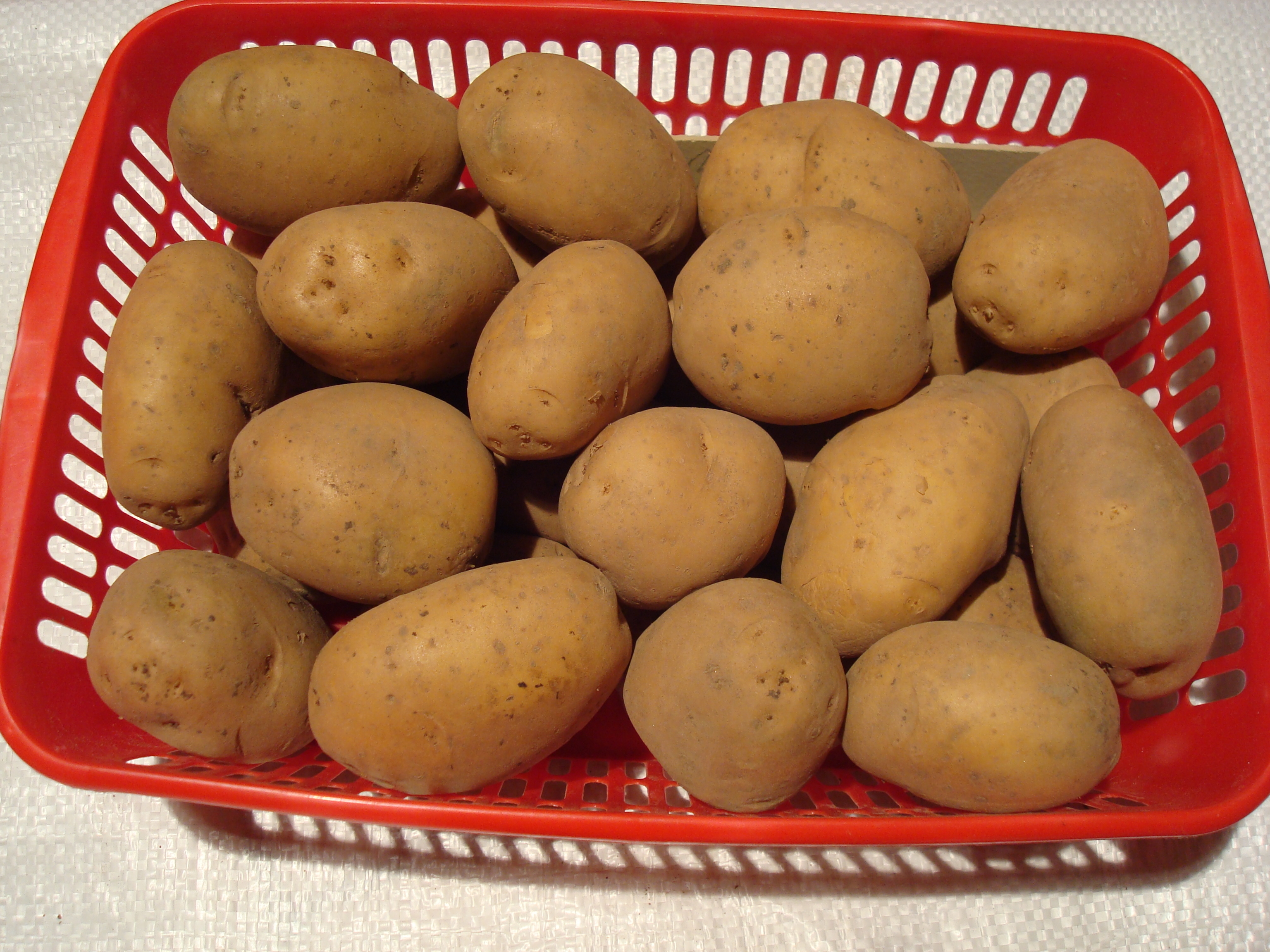 BRASLA | Agroresursu un ekonomikas institūts