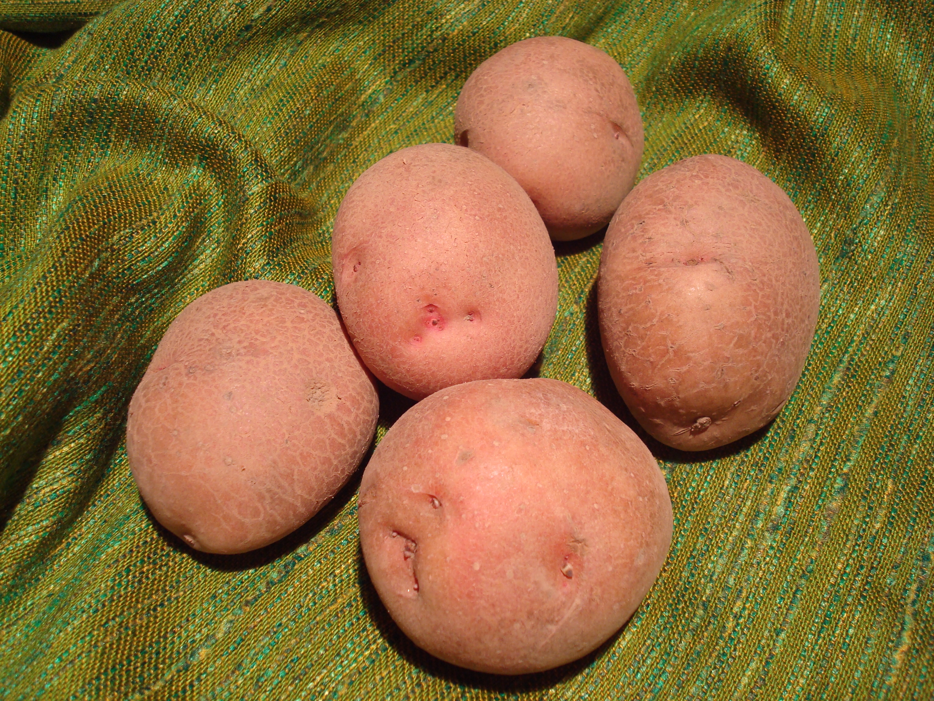 GUNDEGA | Agroresursu un ekonomikas institūts